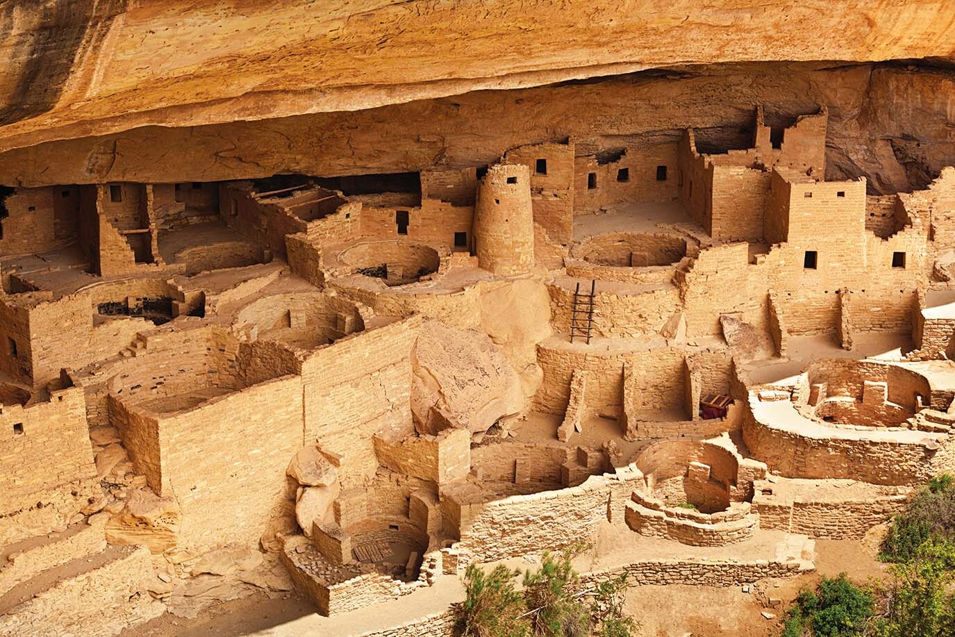 Early Cultures in the Americas