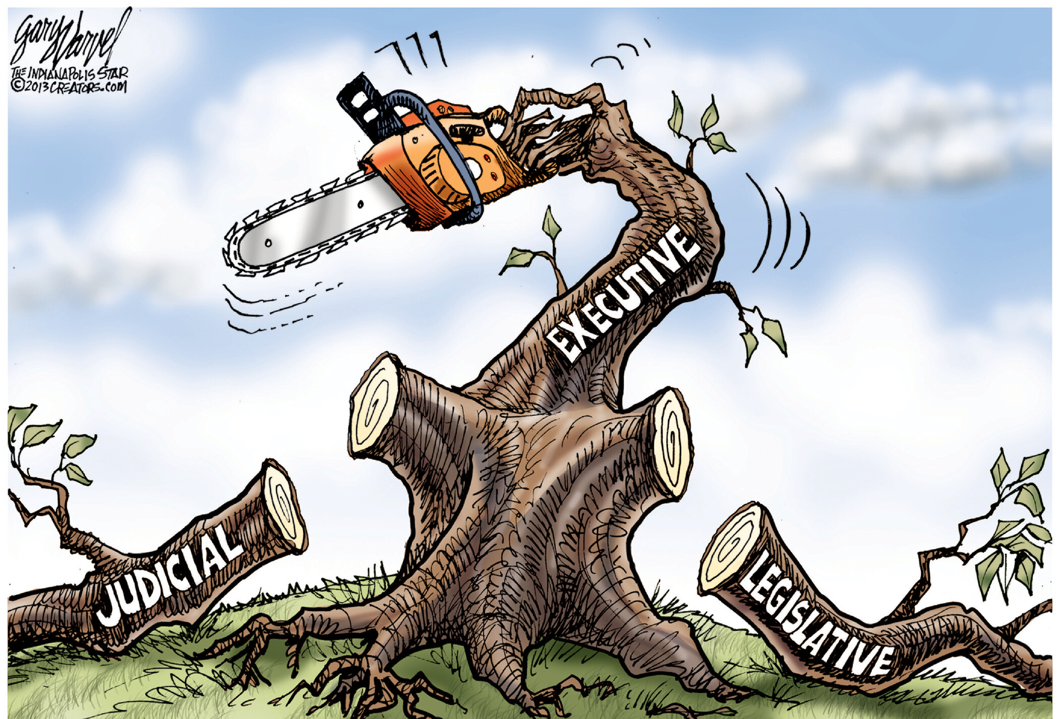 Separation Of Powers Political Cartoon