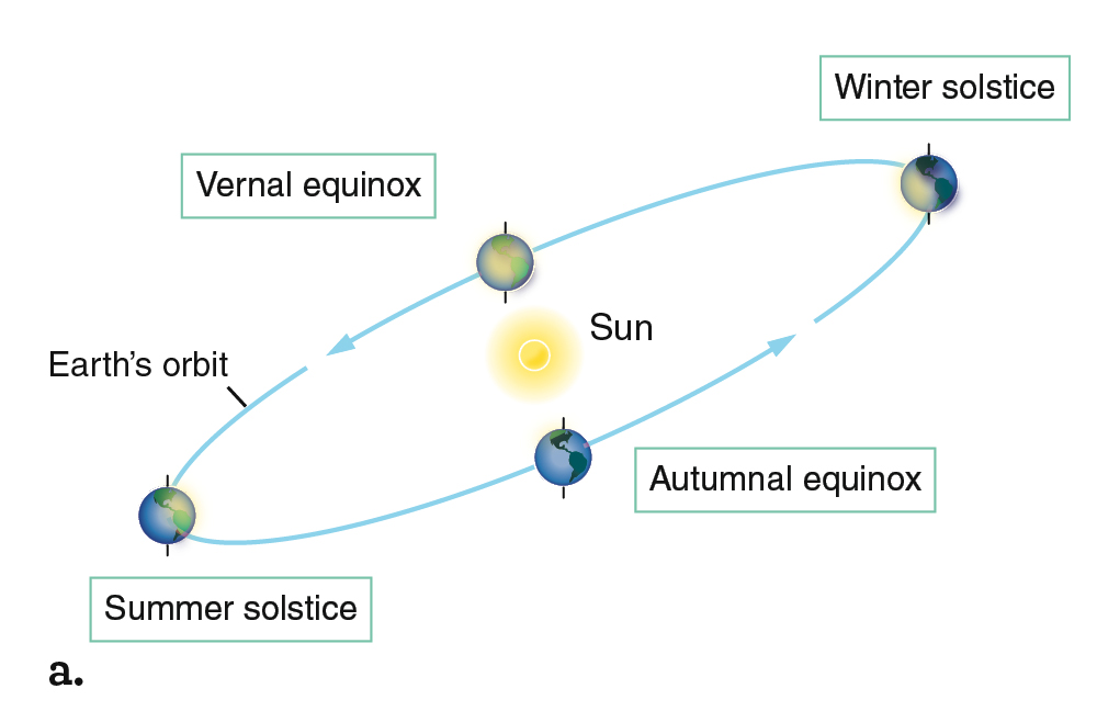 2.2 Revolution about the Sun Leads to Changes during the Year