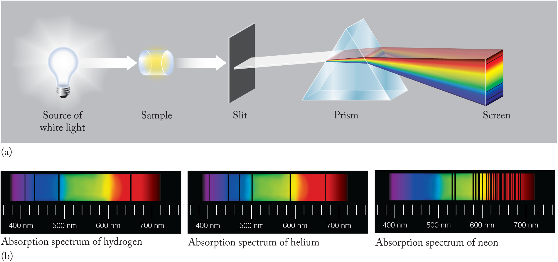 3.2 Atomic Spectra