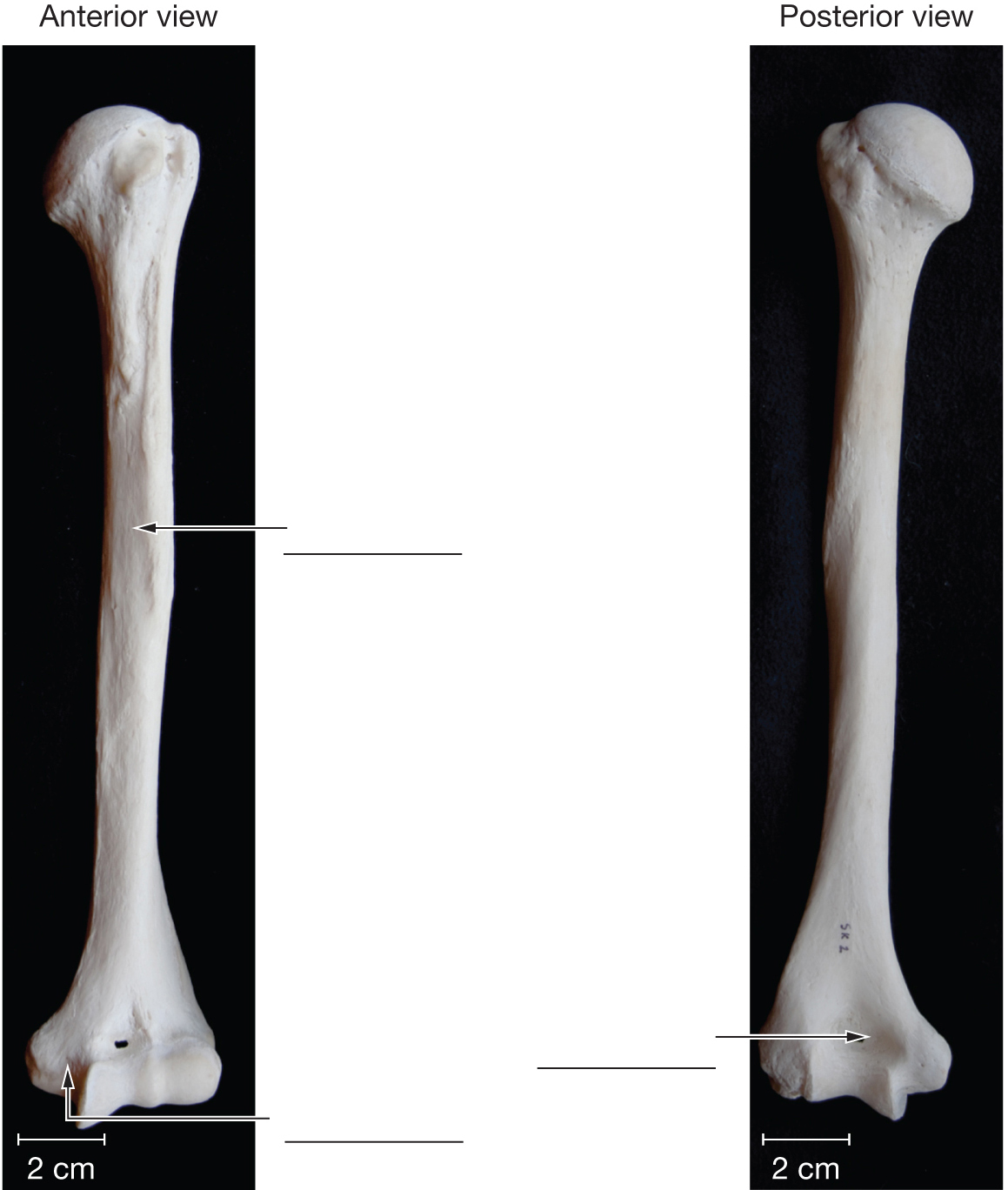 Lab 5 Exercise Image Library