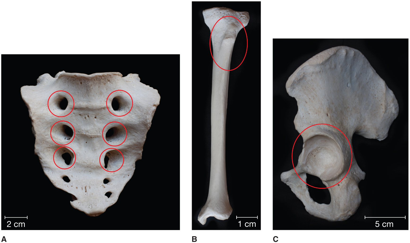 Lab 5 Exercise Image Library