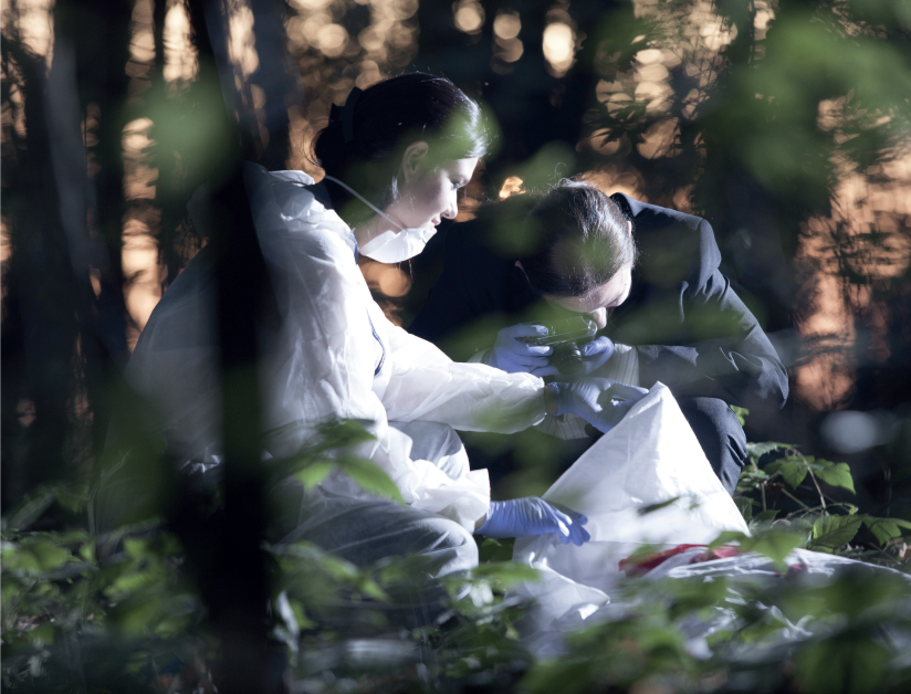 The Subfields of Biological Anthropology