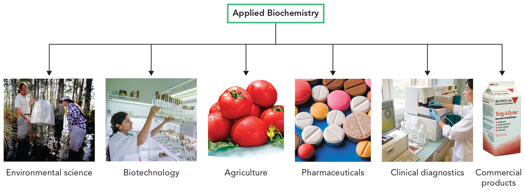 1.1 What Is Biochemistry?