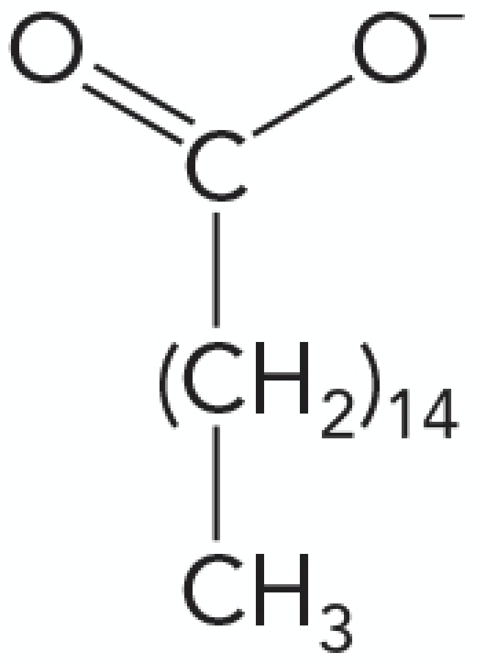 1.2 The Chemical Basis of Life: A Hierarchical Perspective
