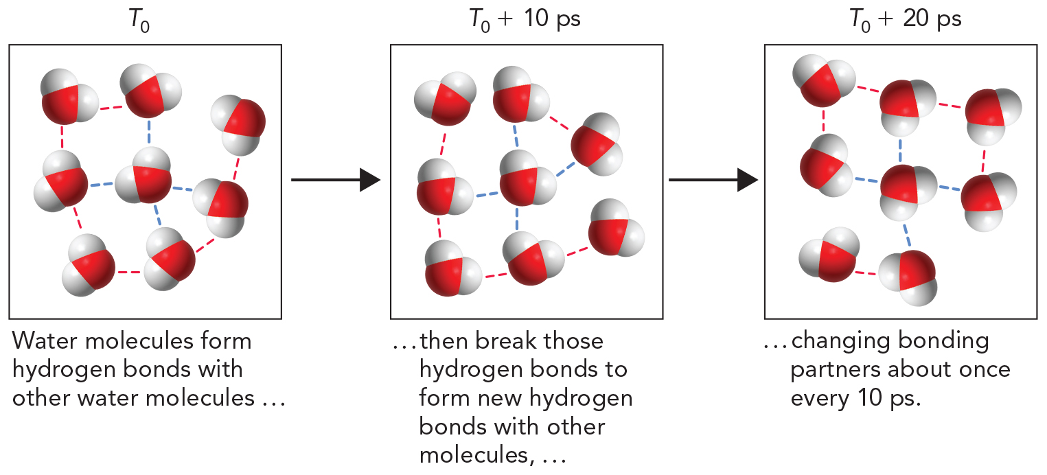 2.2 Water Is Critical for Life Processes