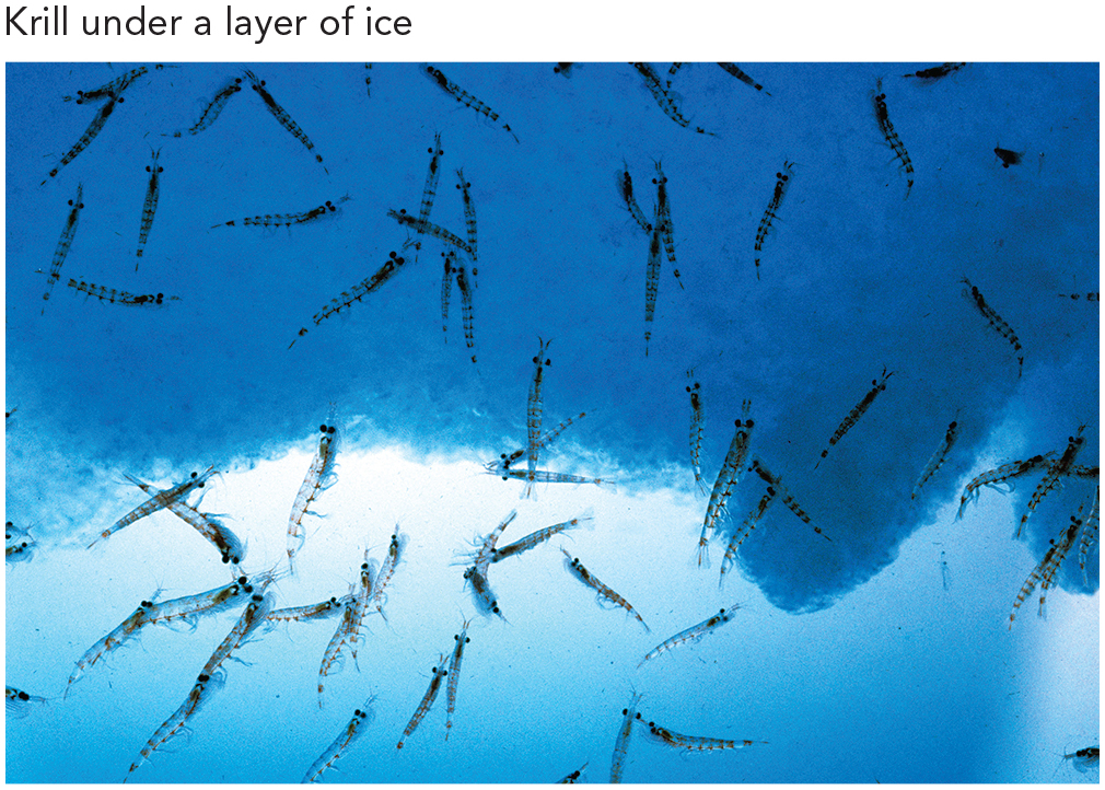 2.2 Water Is Critical for Life Processes