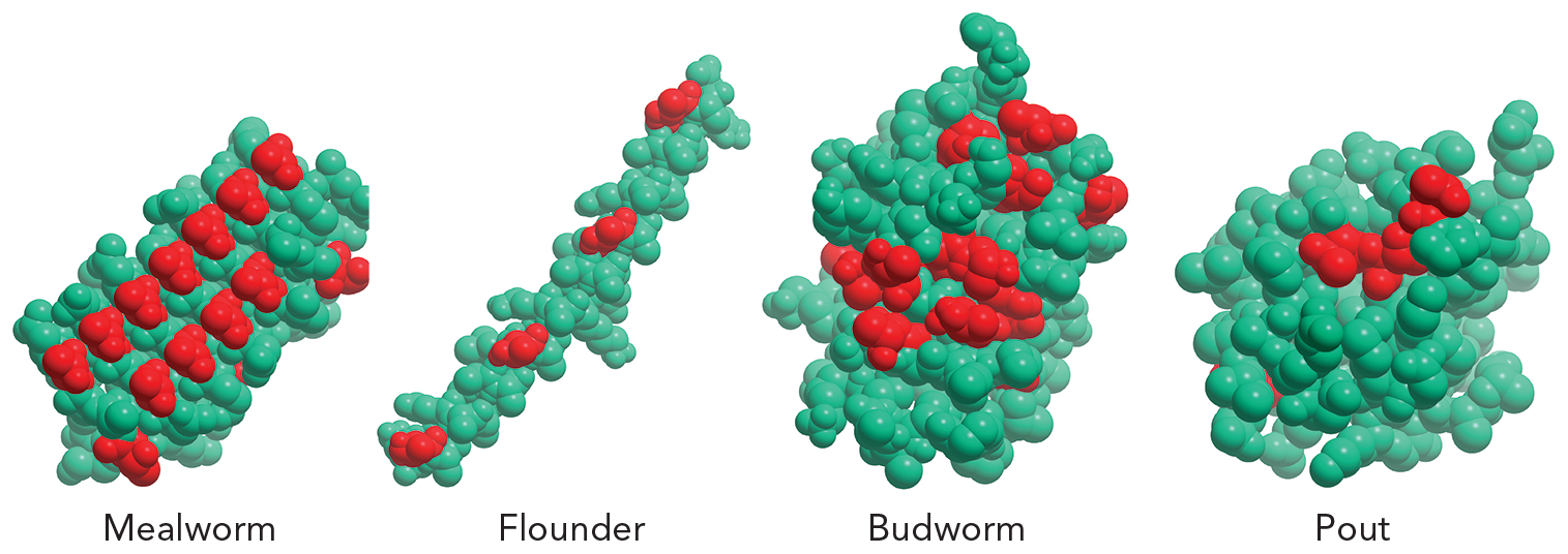 2.2 Water Is Critical for Life Processes