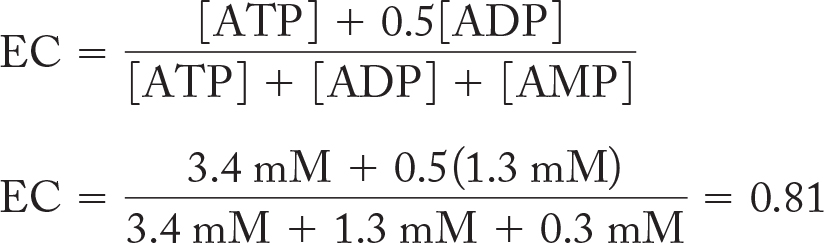 2.1 Energy Conversion in Biological Systems