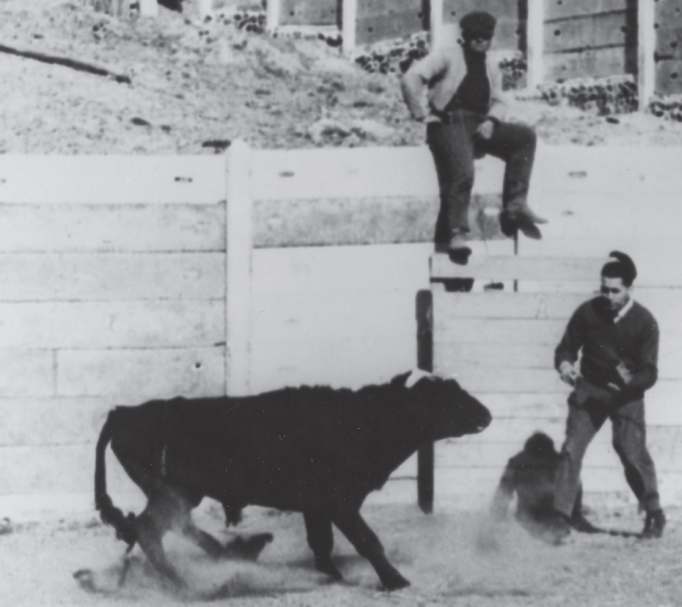 Chapter 2: Structure and Function of the Nervous System