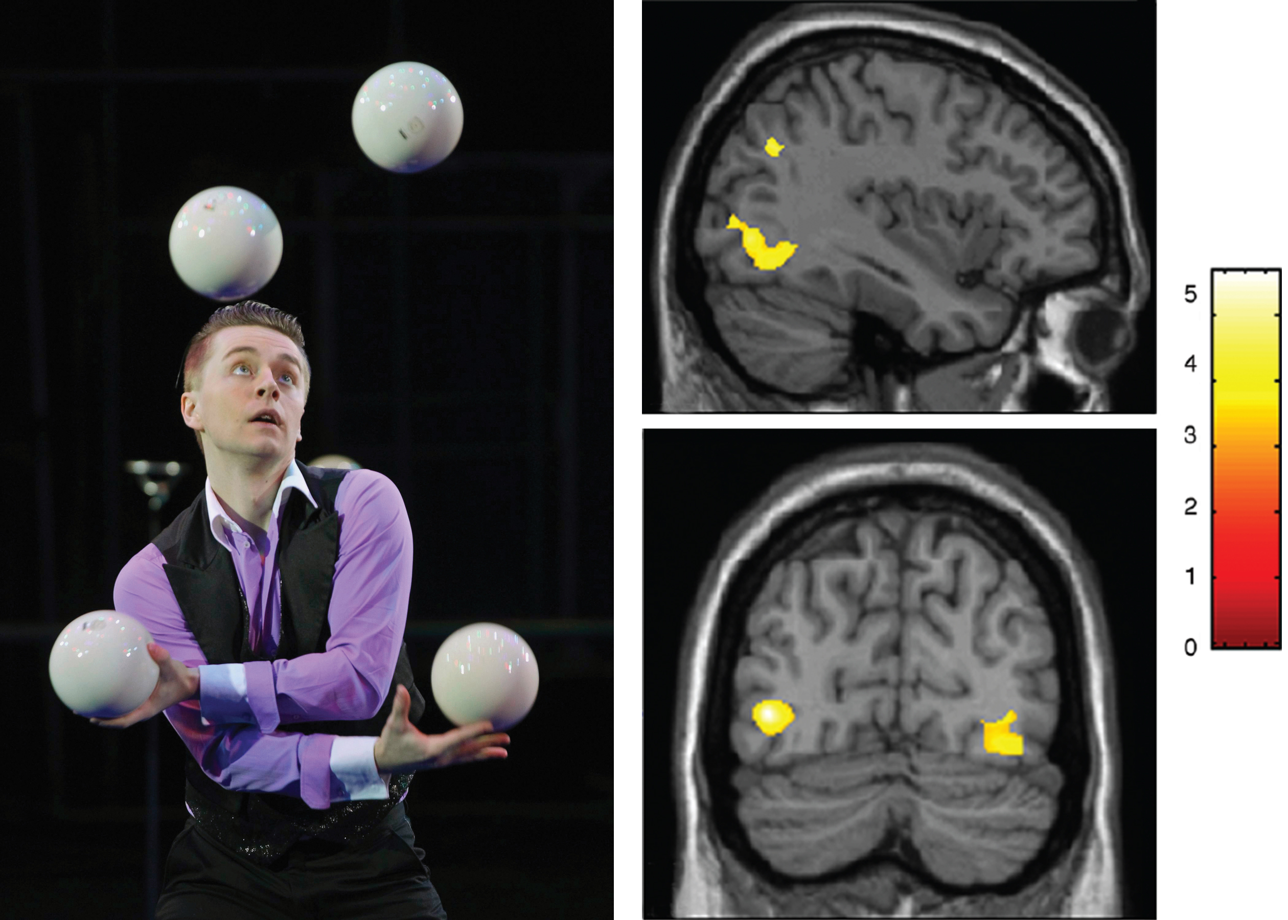 Psychological Processes Can Vary Across Cultures