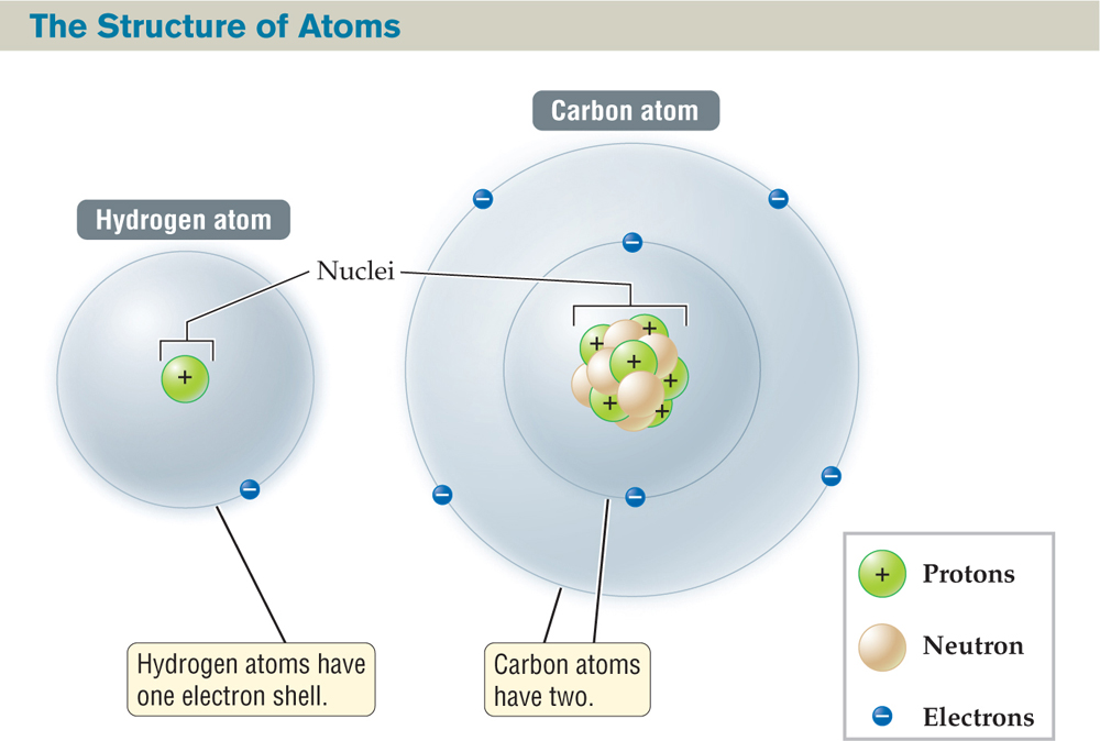 Discover Biology