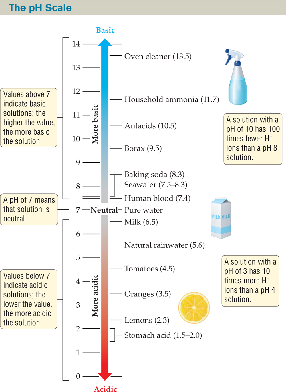 Discover Biology