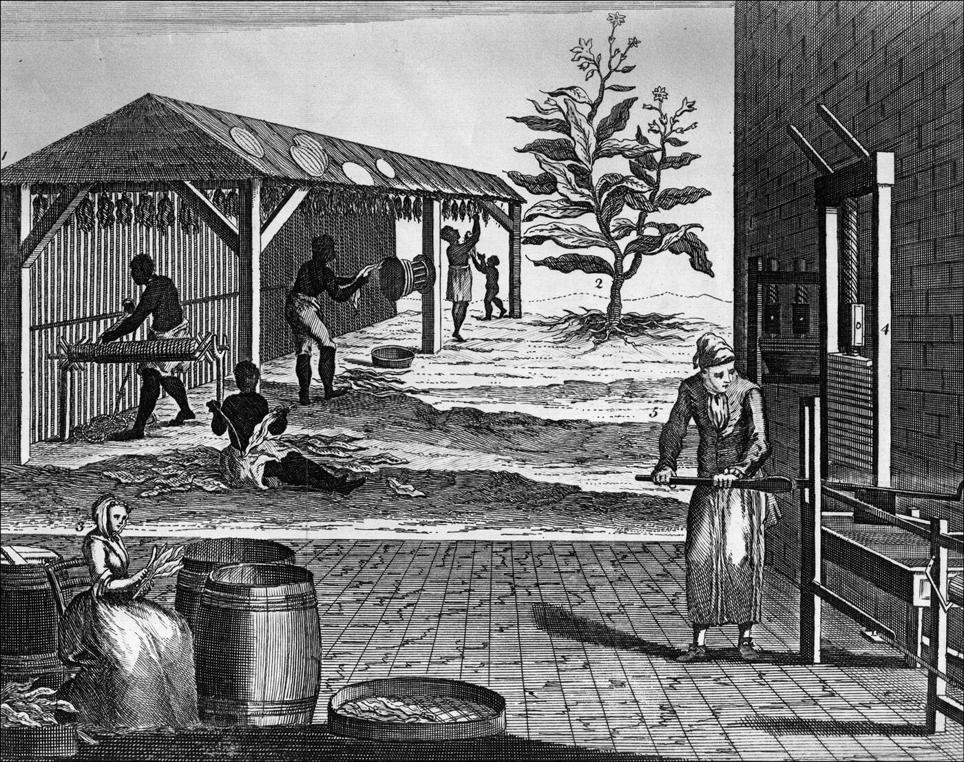 Origins of American Slavery