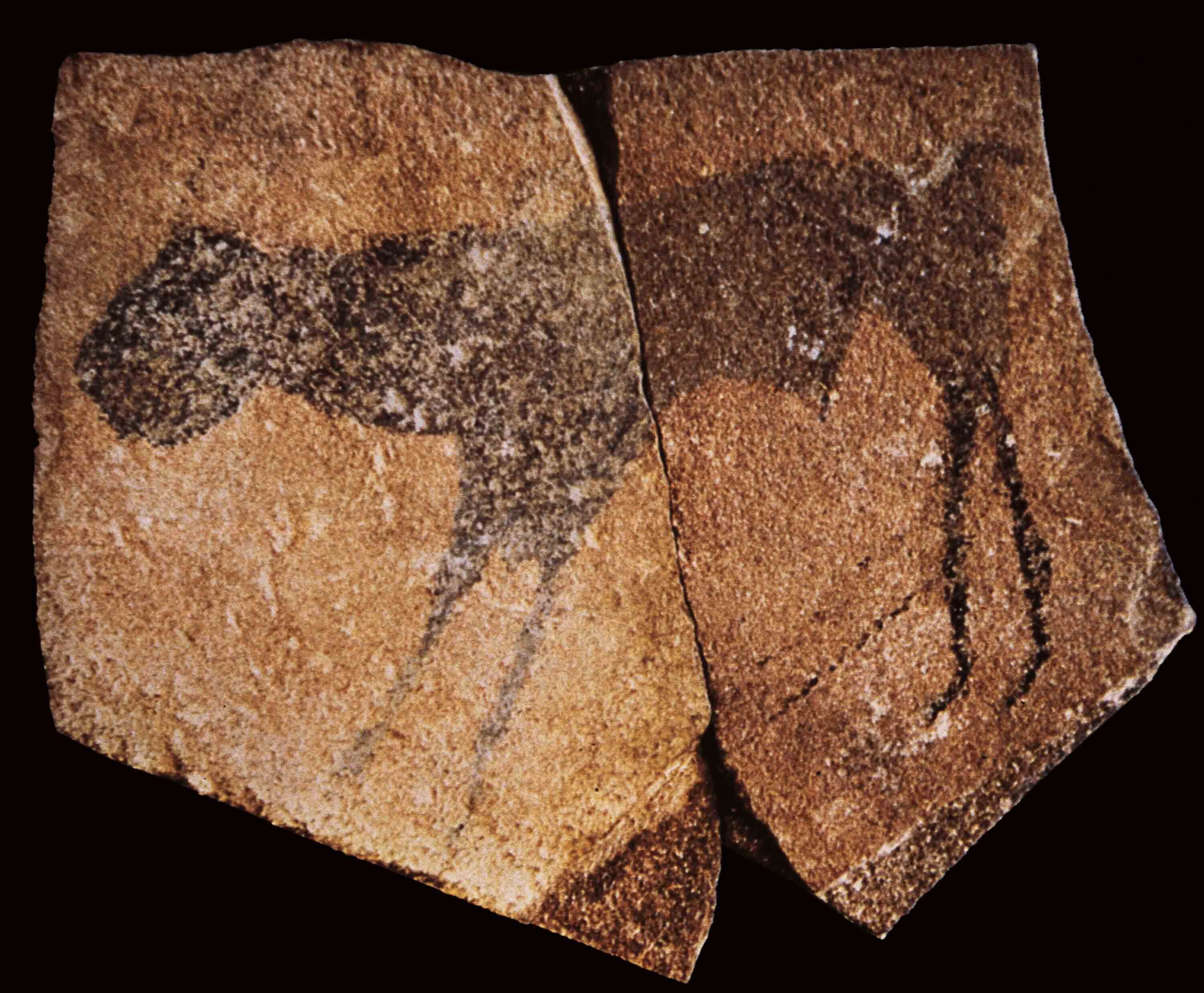 What Is an Image? Thinking about Cave Paintings