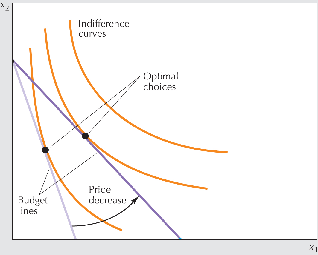 6.4 Ordinary Goods and Giffen Goods