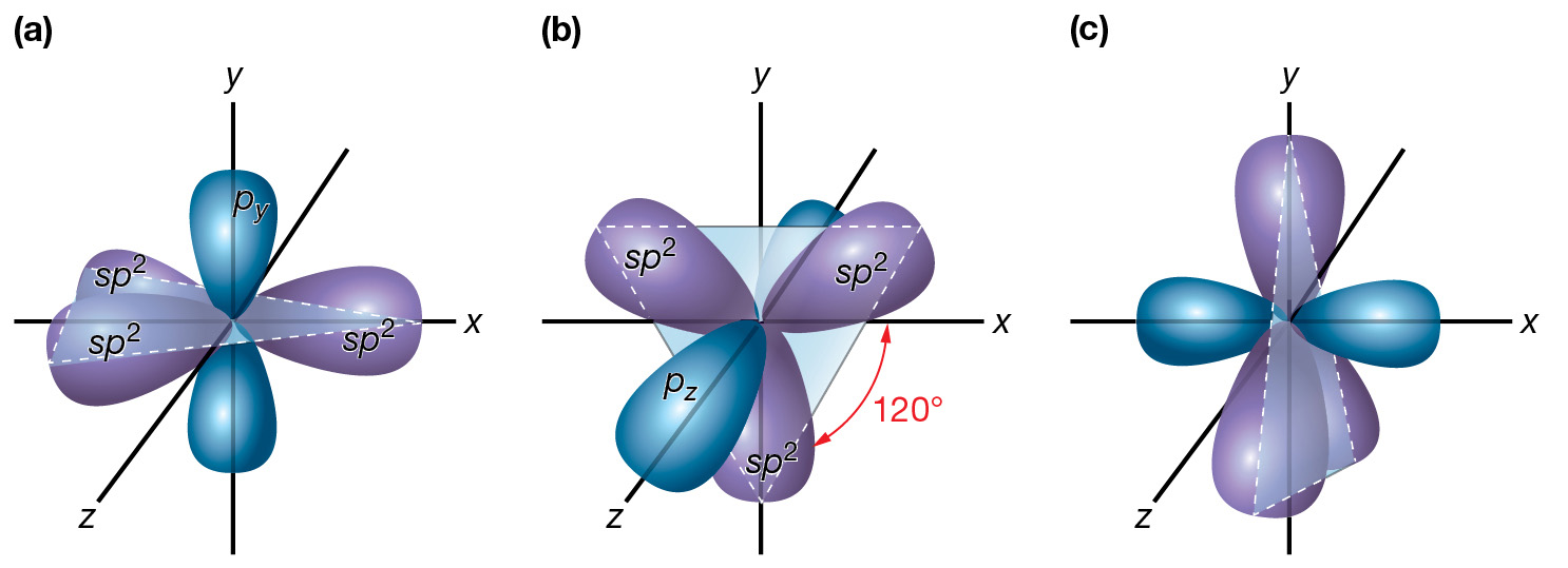 3.4 Valence Bond Theory and Trigonal Planar Electron Geometry: Double ...