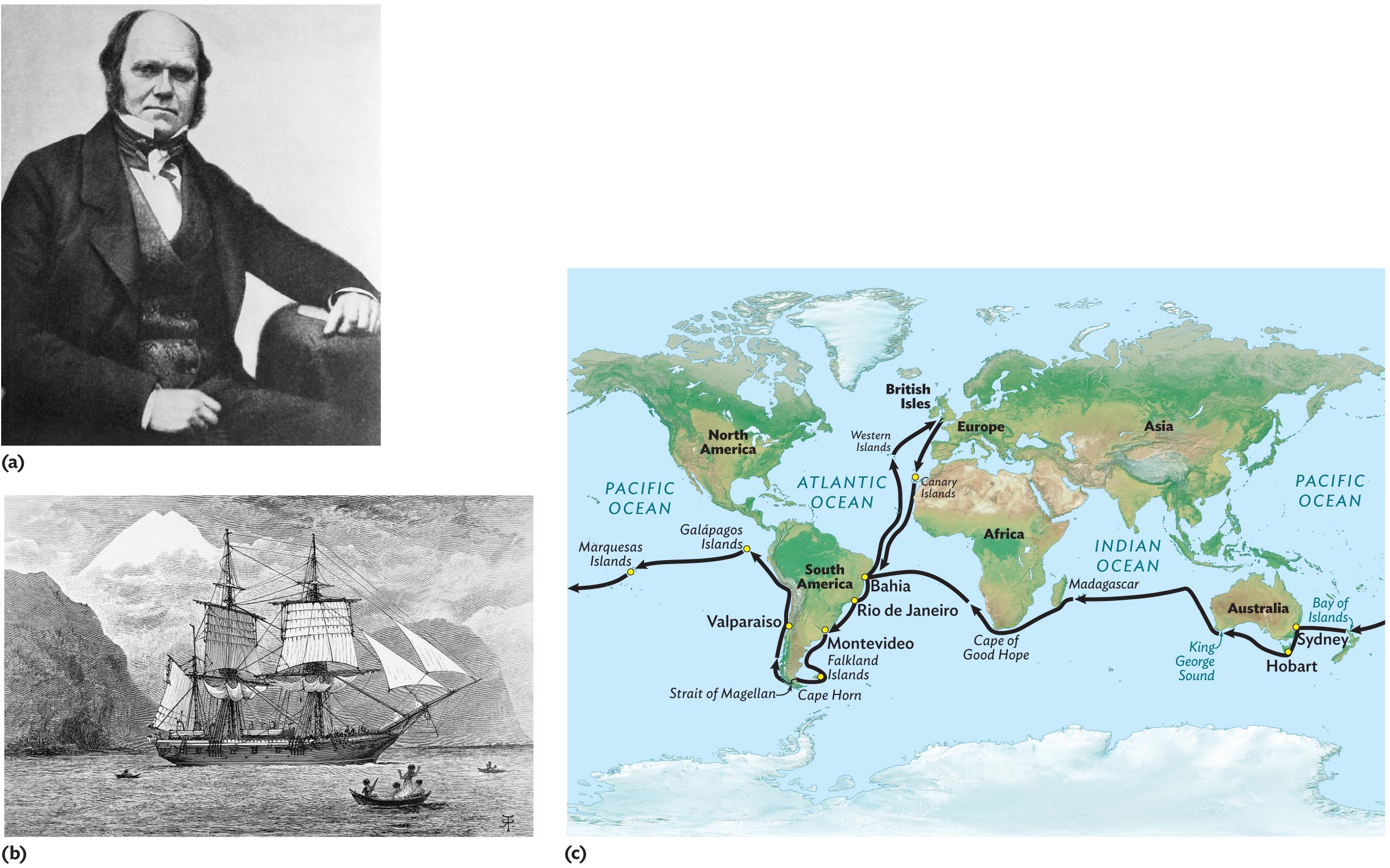 2: Evolution: Constructing a Fundamental Scientific Theory