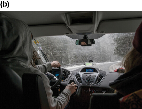 3.3 Consciousness Involves Attention