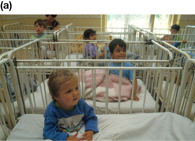 4.3 Infants and Children Change Physically