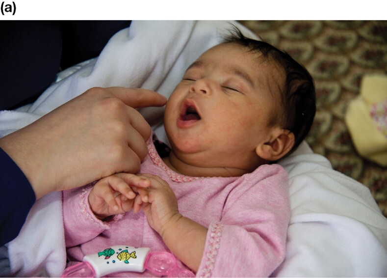 4.3 Infants and Children Change Physically