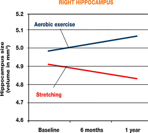 4.12 Bodies and Minds Change in Adulthood