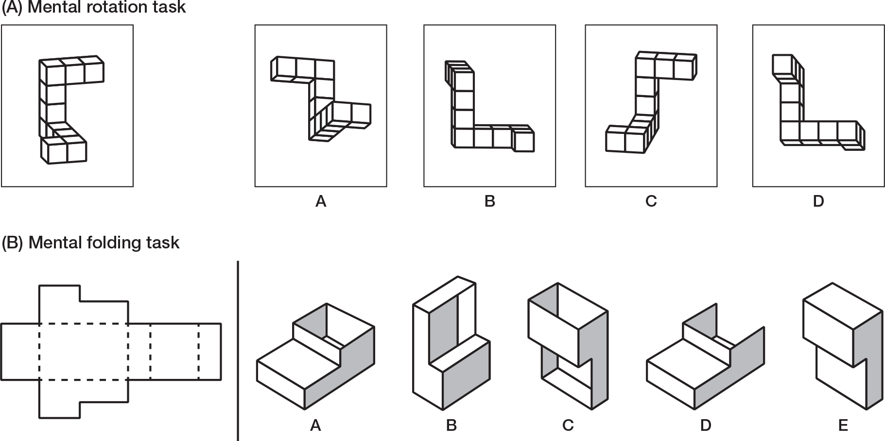 3.5 Skills in Action: Evaluating Research on Sex/Gender Differences ...