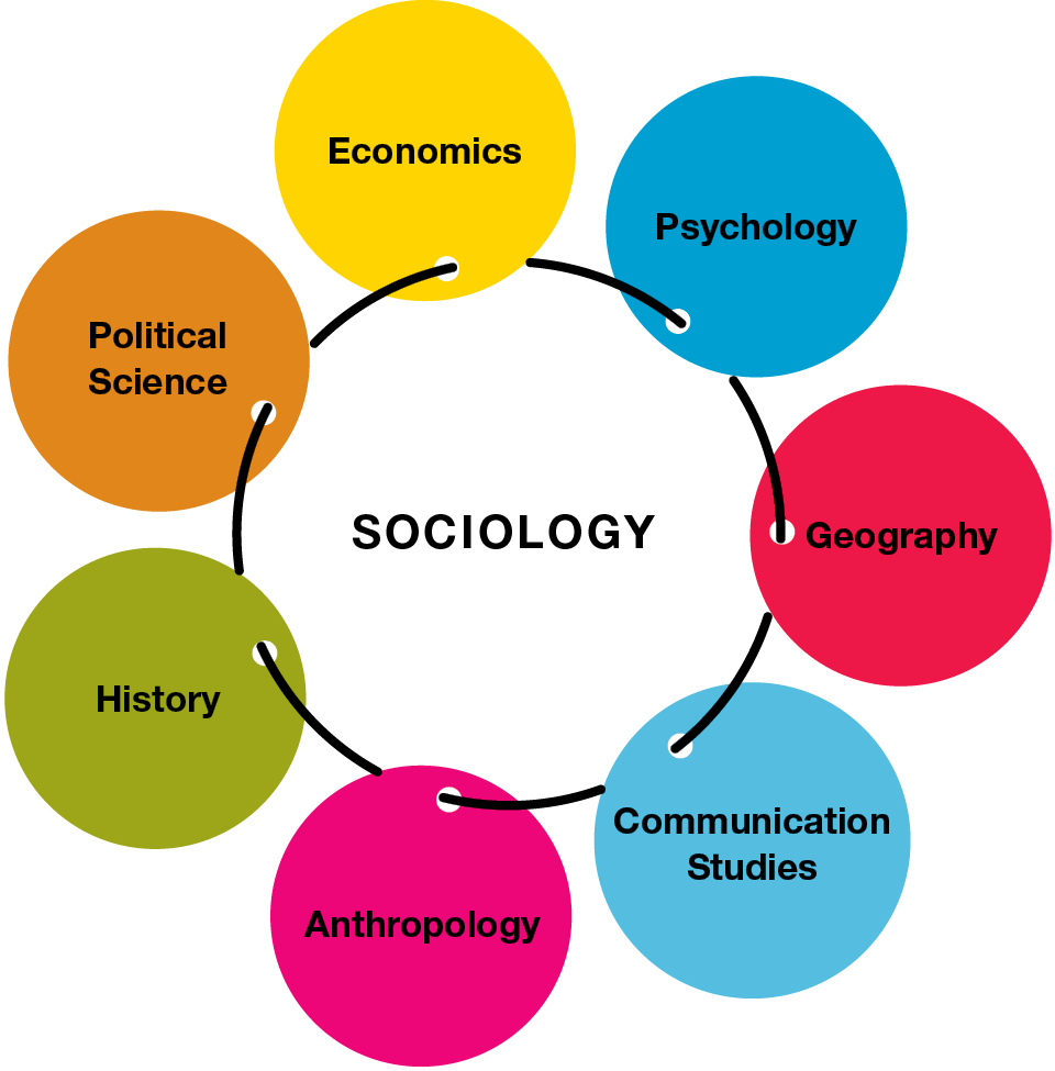 What Is Sociology?