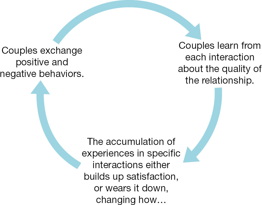 Social Interaction Theory Behavior