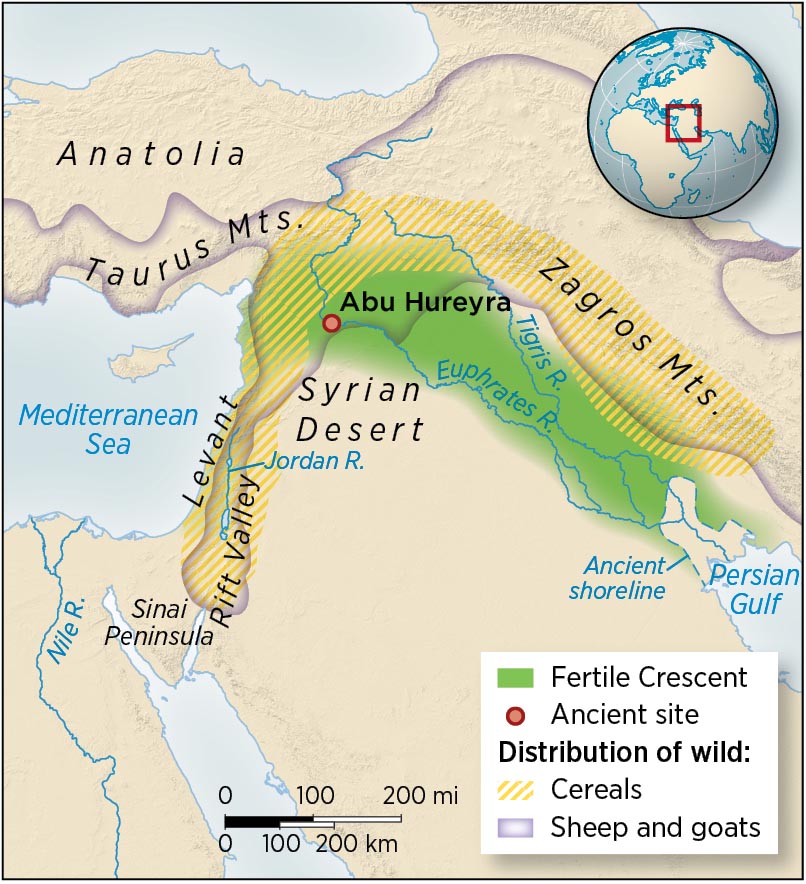 The Origins of Agriculture