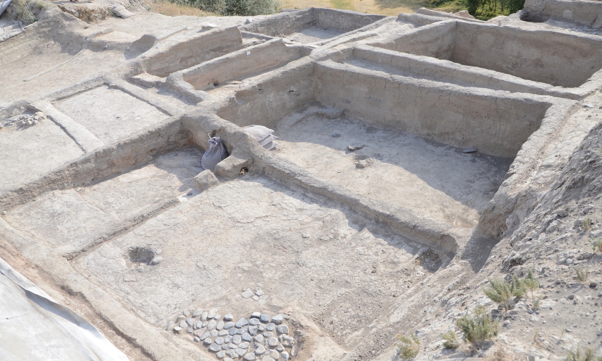 The Origins of Agriculture