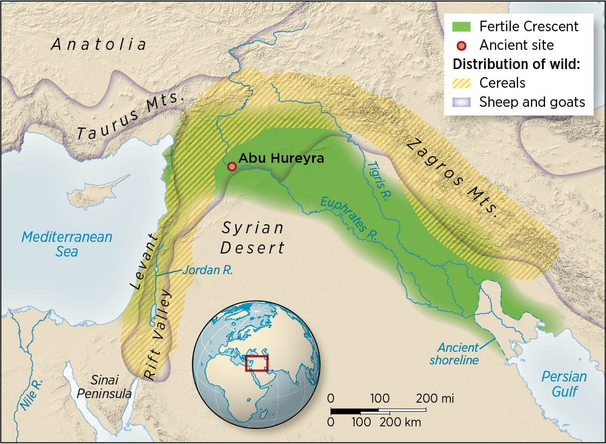 The Origins of Agriculture